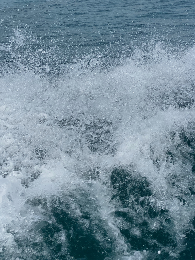 Embrace the Water Tiger with Elemental Fragrances in 2022